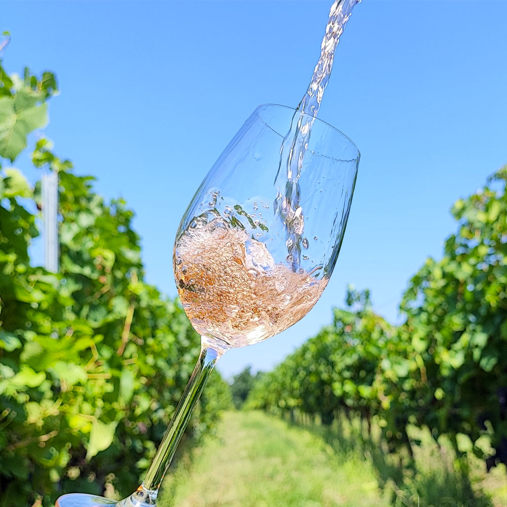 Růžové víno - Vinařství Turoňovi